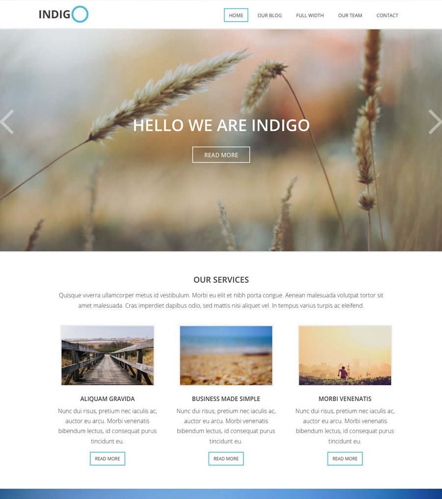 Indigo, WordPress Theme for Business and non-profit - Viva Themes