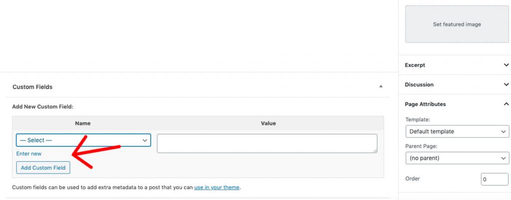 Enable custom fields in WordPress posts or pages - Viva Themes